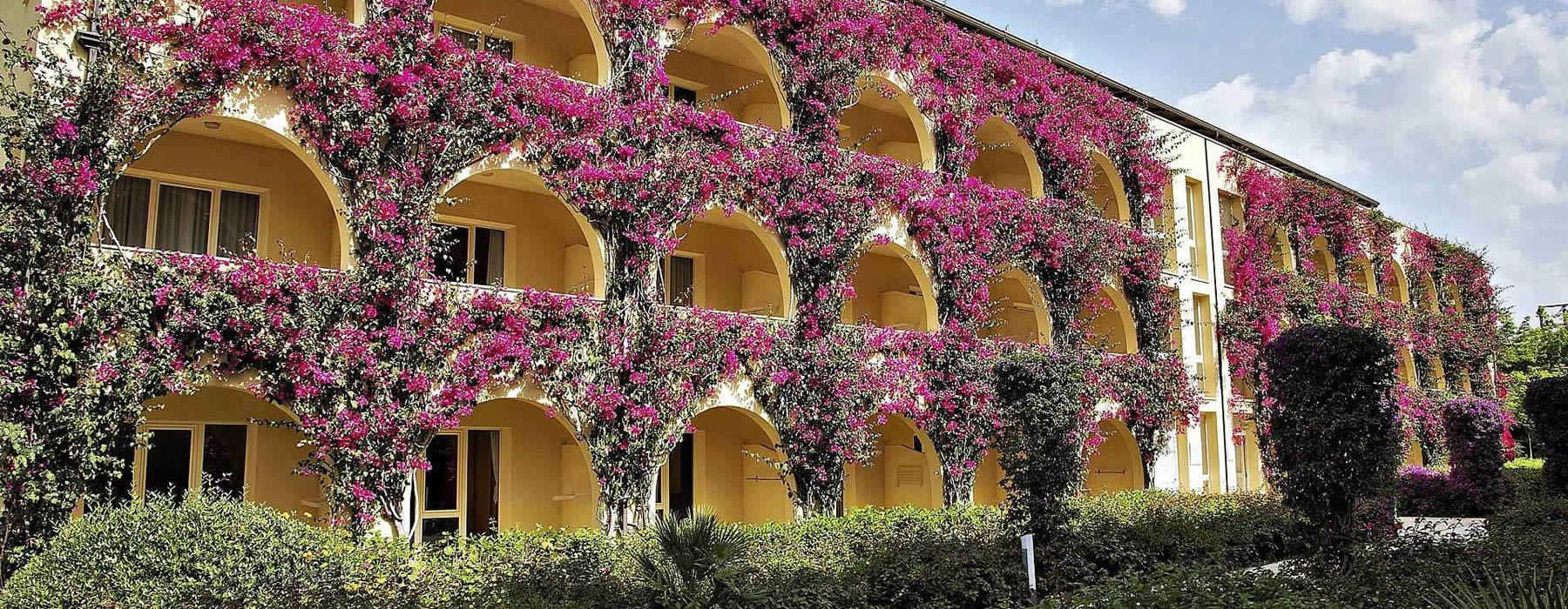 Sito web e Booking engine per Tui Magic Life - MyComp